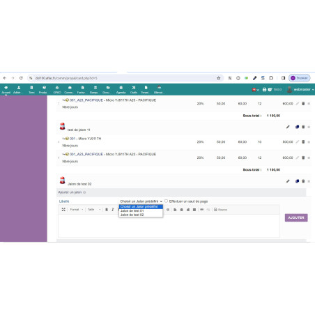 Milestone / jalon 20.0